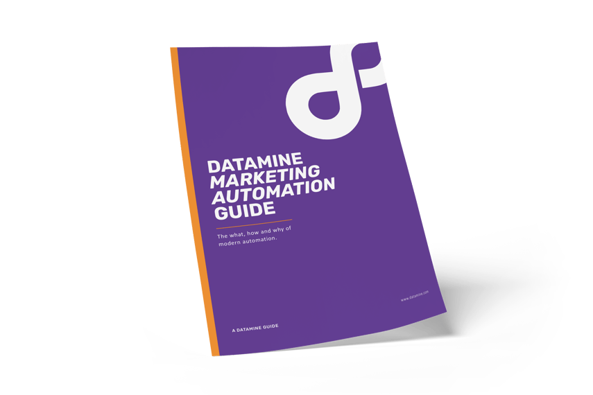 Datamine Guides - Data management, customer insights, AI and more